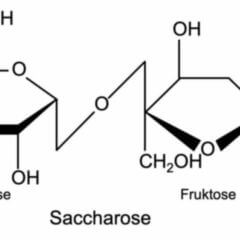 Saccharose - DocCheck Flexikon