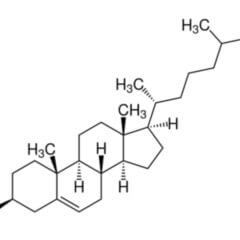 Cholesterin - DocCheck Flexikon