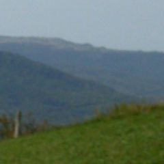 Subjektive Krankheitstheorie - DocCheck Flexikon