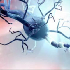 Pathogenese - DocCheck Flexikon