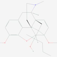 Etorphin - DocCheck Flexikon