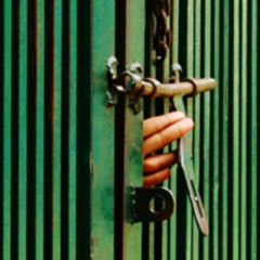 Adjuvans - DocCheck Flexikon