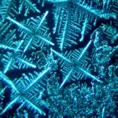 Tiaprid - DocCheck Flexikon