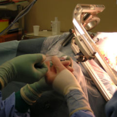 Biopsie - DocCheck Flexikon