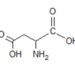 Asparagin - DocCheck Flexikon