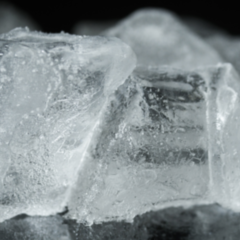 Mukositis - DocCheck Flexikon