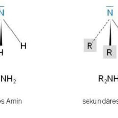 Biogenes Amin - DocCheck Flexikon