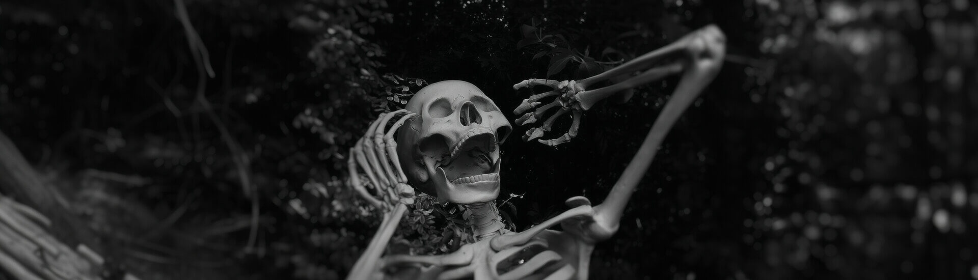 News – Mit Angst auf dem Zahnarztstuhl - DocCheck