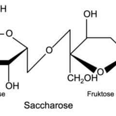 Saccharose - DocCheck Flexikon