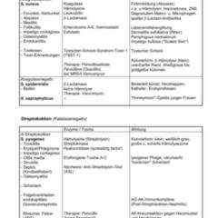 Kokken - DocCheck Flexikon