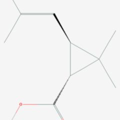 Monoterpen - DocCheck Flexikon