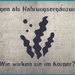 Alge - DocCheck Flexikon