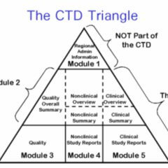 Common Technical Document - DocCheck Flexikon
