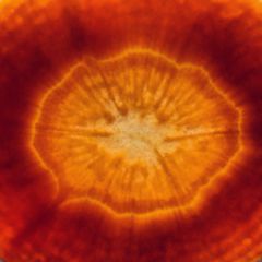 Carotinoid - DocCheck Flexikon