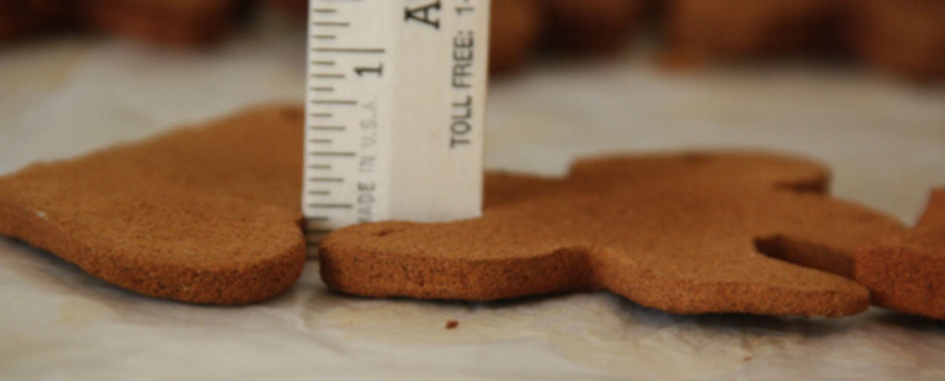 Kachexie: Dünne Studienlage - DocCheck