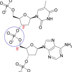 Konjugierte Doppelbindung - DocCheck Flexikon