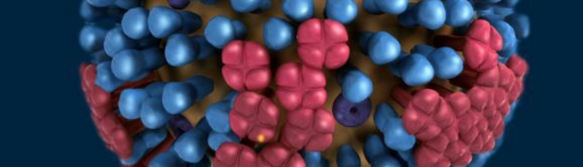 T-Zellen als Türsteher - DocCheck