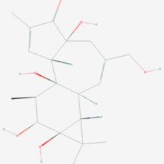 Phorbolester - DocCheck Flexikon