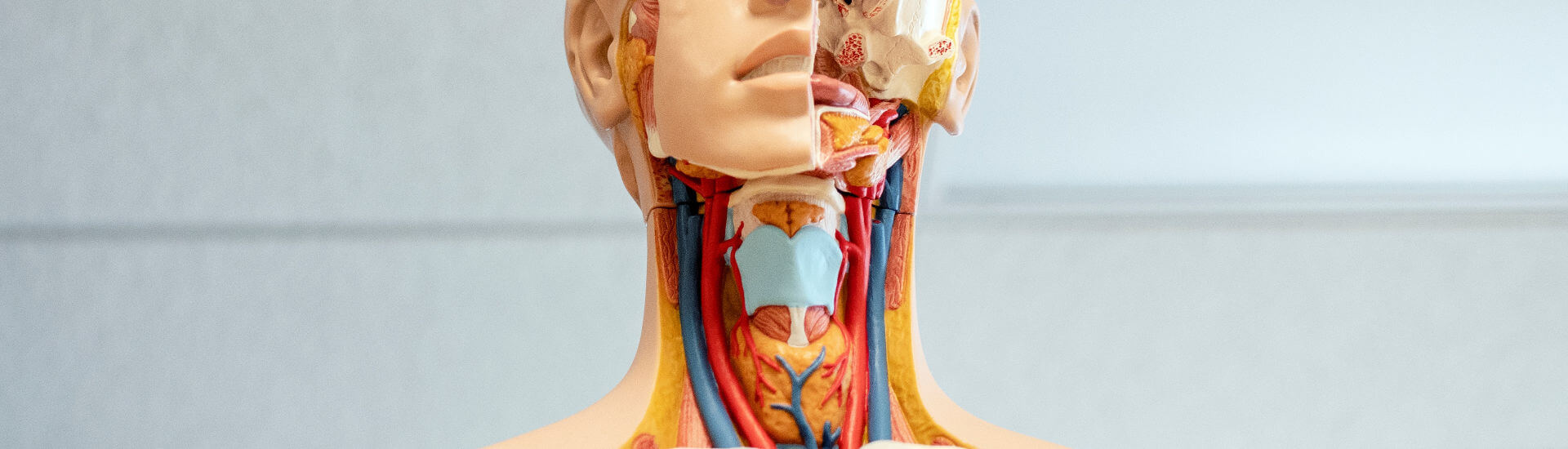 Schlucken: Mehr als ein Reflex - DocCheck