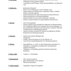 Haut - DocCheck Flexikon