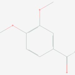 Conjugata vera - DocCheck Flexikon