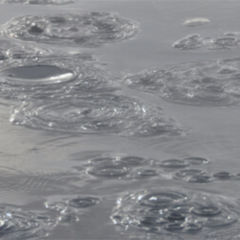 Probiose - DocCheck Flexikon