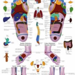 Fussreflexzonentherapie - DocCheck Flexikon