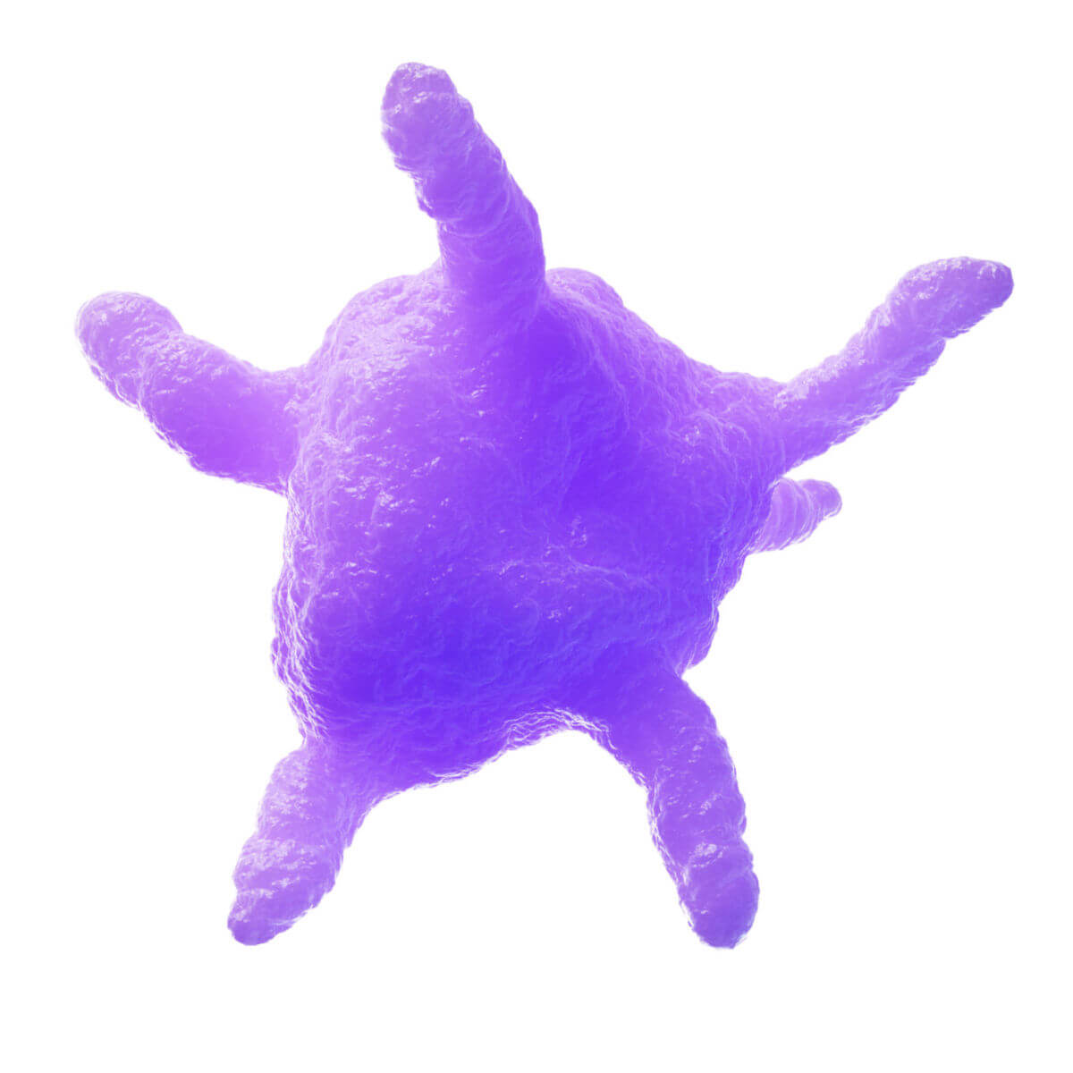 Thrombozyt - DocCheck Flexikon