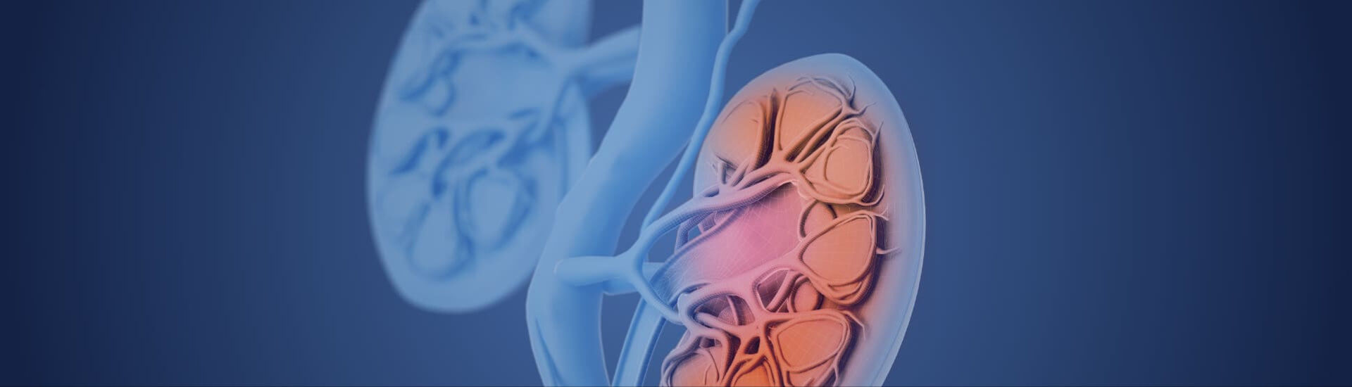 CKD-CME: Anmelden und 2 CME-Punkte sammeln! - DocCheck