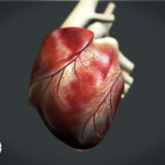 Isolierte systolische Hypertonie - DocCheck Flexikon