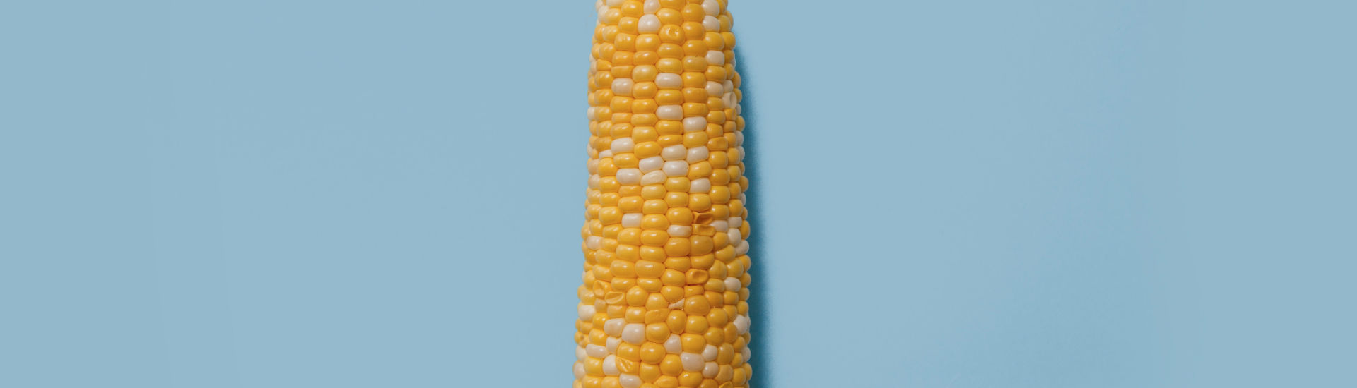 Genfood: Das gebashte Gemüse - DocCheck