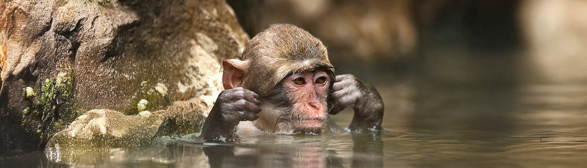 „Bei Angst vor Nebenwirkungen lauschen Sie nicht dem Apotheker“ - DocCheck