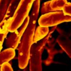 Pretomanid - DocCheck Flexikon