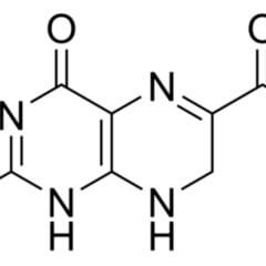 Sepiapterin - DocCheck Flexikon
