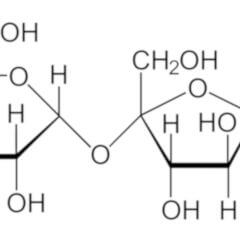 Saccharose - DocCheck Flexikon