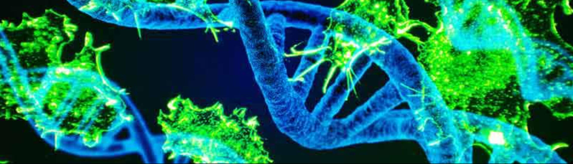 Neueinführung Libmeldy bei MLD - DocCheck