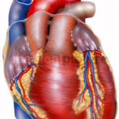 Anatomischer Raum - DocCheck Flexikon