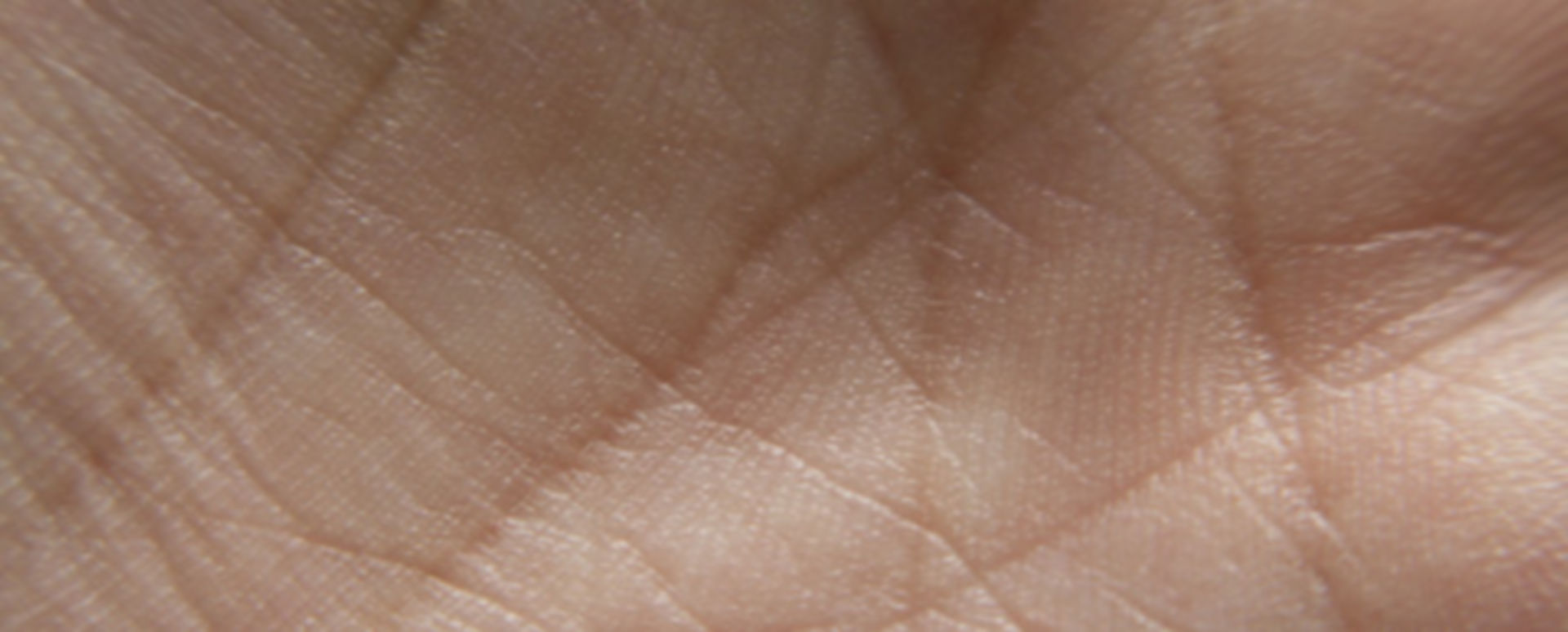 Trametinib: Anti-Aging mit Krebsmedikament? - DocCheck