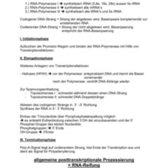 Transkription - DocCheck Flexikon