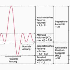 Atemzugvolumen - DocCheck Flexikon