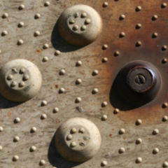 Ektoderm - DocCheck Flexikon