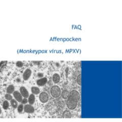 Affenpocken: Das müssen Tierärzte wissen - DocCheck