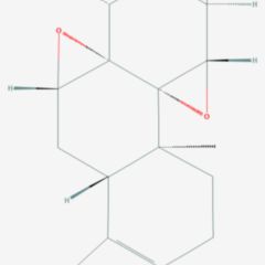 Totraumvolumen - DocCheck Flexikon