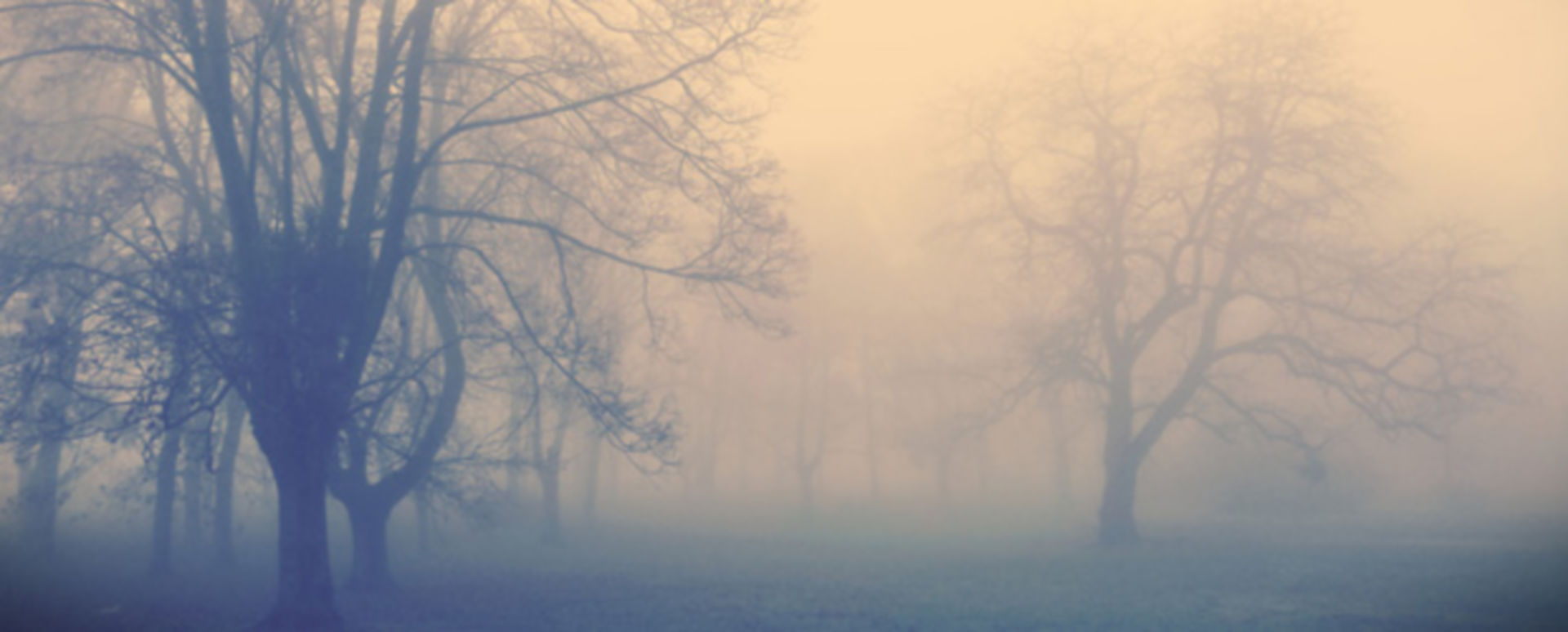 Klinische Studien: Die Nebel vom EMAlon - DocCheck