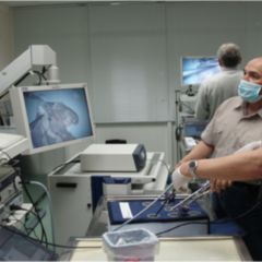 Zungenmuskel-Training - DocCheck Flexikon