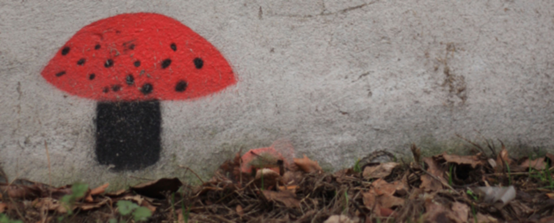 Mykosen: Gefährlicher Fung - DocCheck