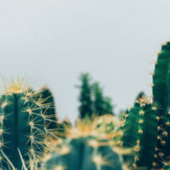 PIKE-Schema - DocCheck Flexikon