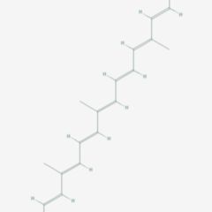 Trisomie 8 - DocCheck Flexikon