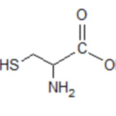 Cystein - DocCheck Flexikon