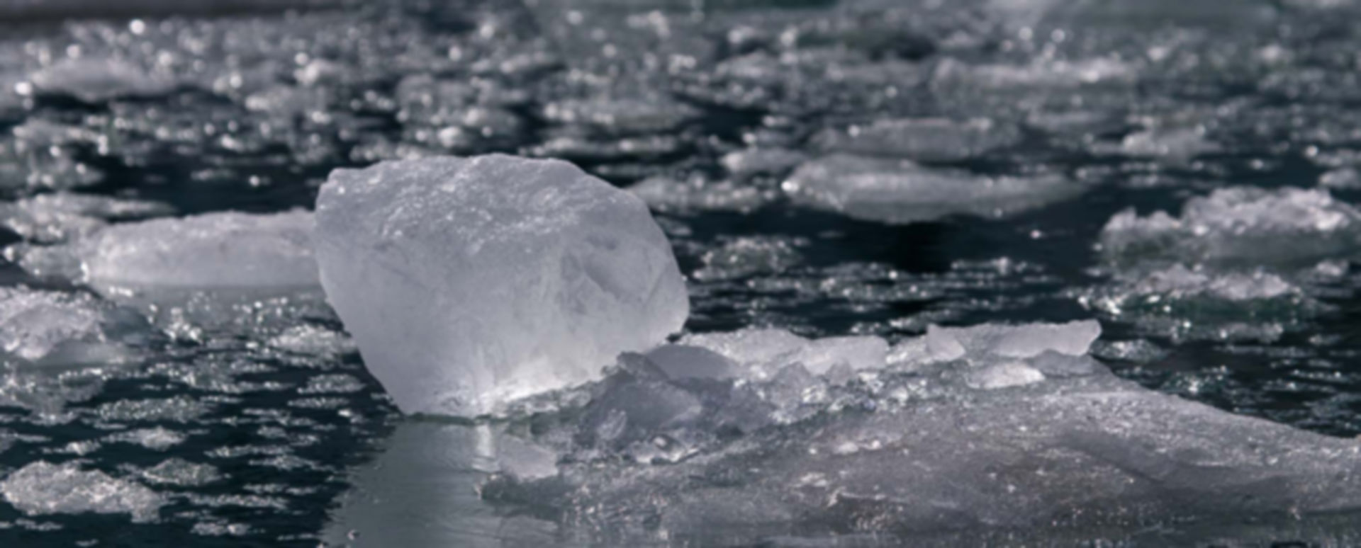 Cholera-Erreger auf Eis gelegt - DocCheck